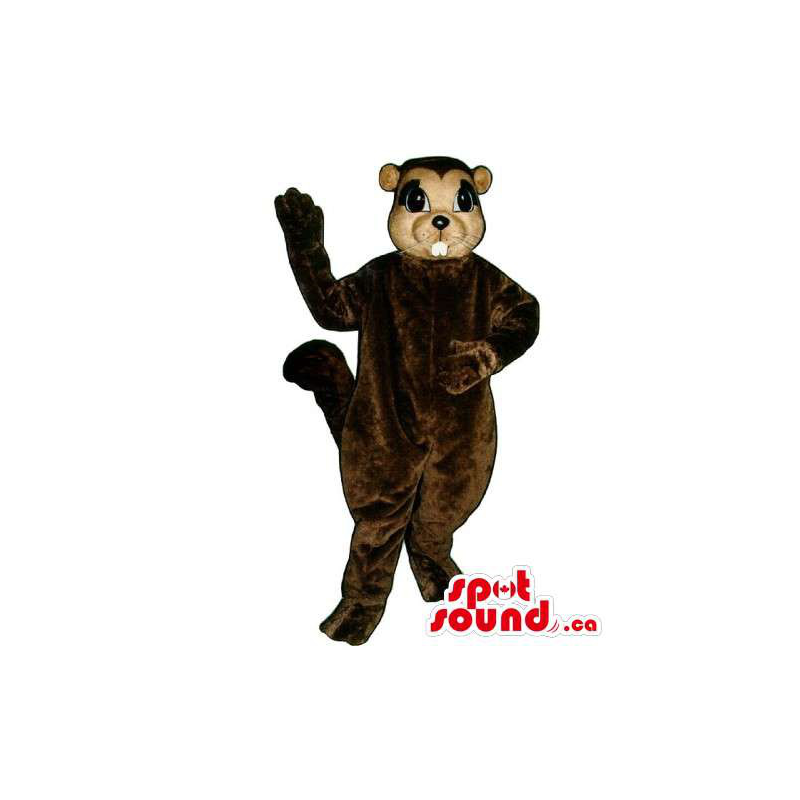 Mascots - SPOTSOUND CANADA - Animal mascots of