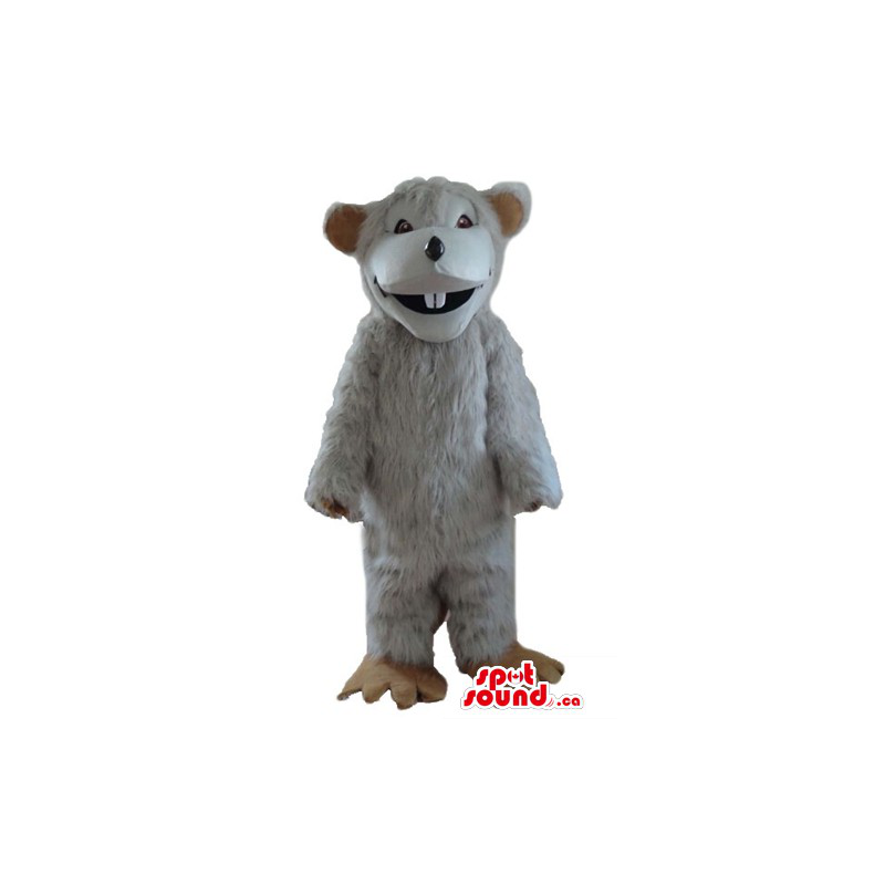 Possum gray bear cartoon character Mascot costume fancy dress ...